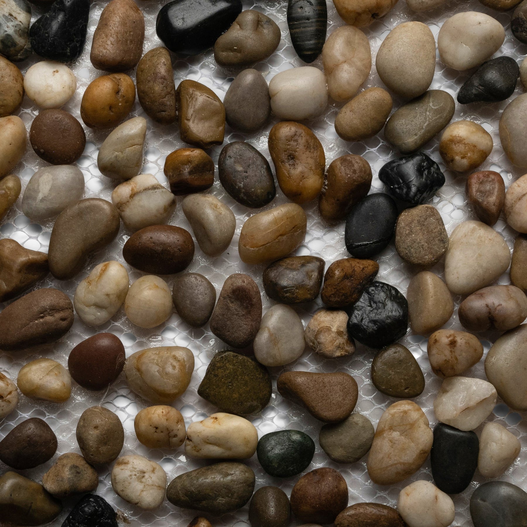 Mini Polished Cobblestone Pebble Tile | Pebble Tile Shop