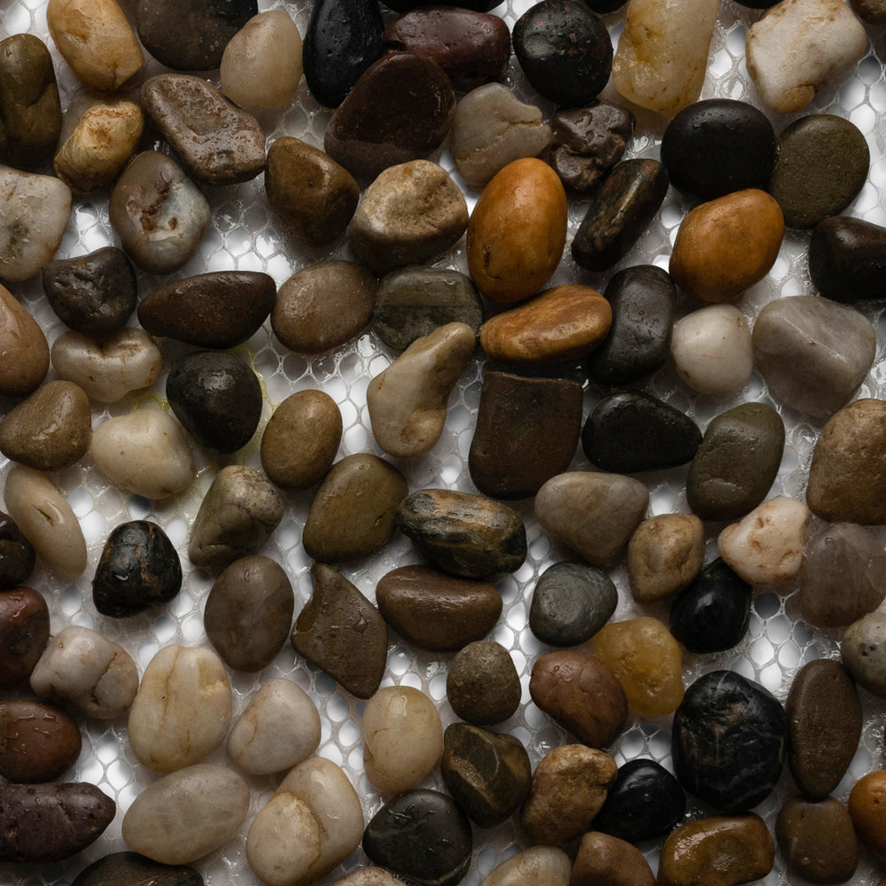 Mini Polished Cobblestone Pebble Tile | Pebble Tile Shop