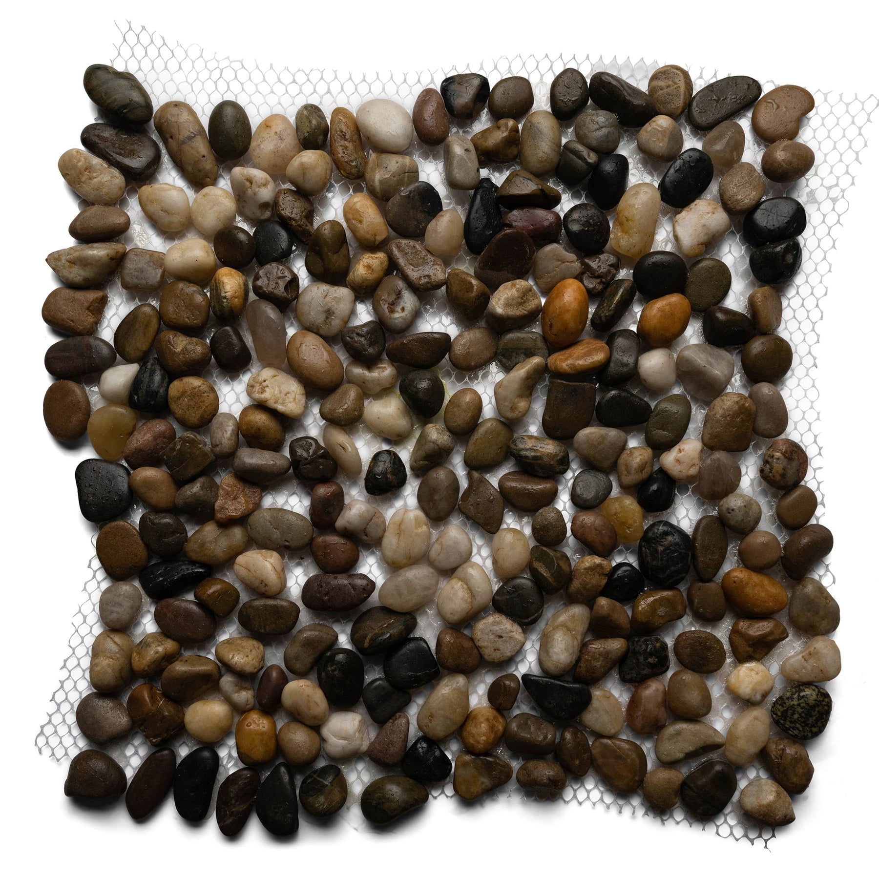 Mini Polished Cobblestone Pebble Tile | Pebble Tile Shop