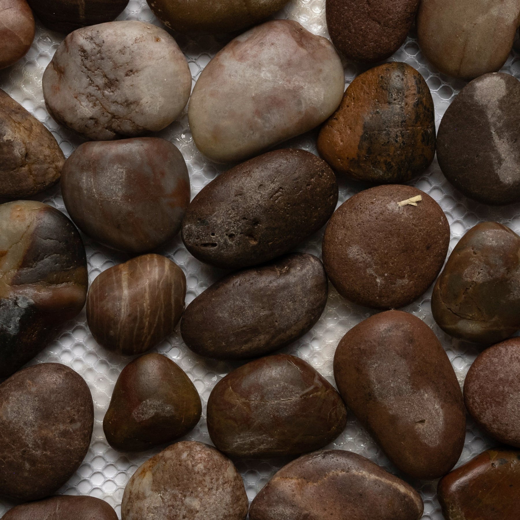 Polished Red Pebble Tiles | Pebble Tile Shop