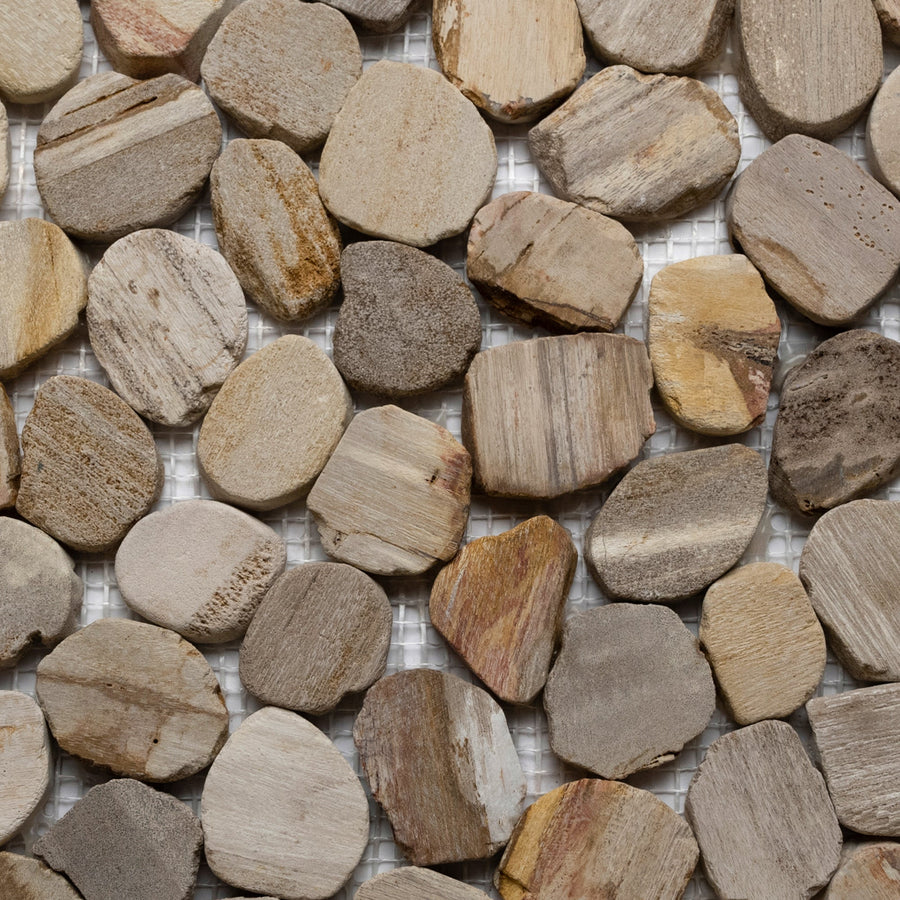 Sliced Mini Oval Petrified Fossil Pebble Tile | Sliced Pebble Tiles ...
