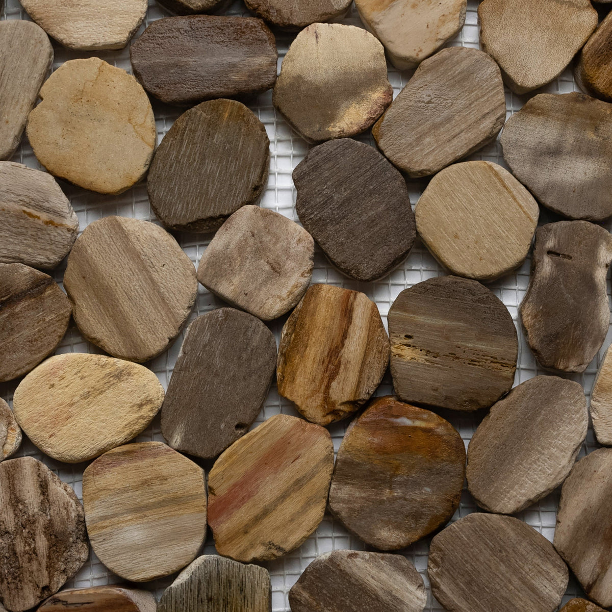 Sliced Mini Oval Petrified Fossil Pebble Tile | Sliced Pebble Tiles ...