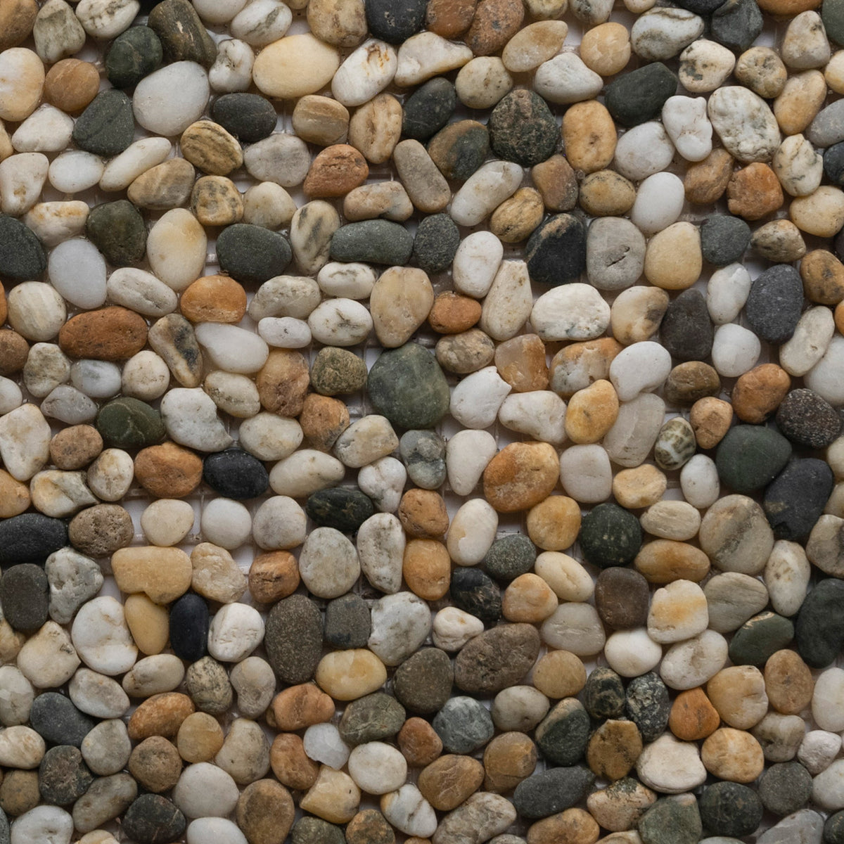 Yellow Gold Mixed Mini Pebble Tiles | Pebble Tile Shop