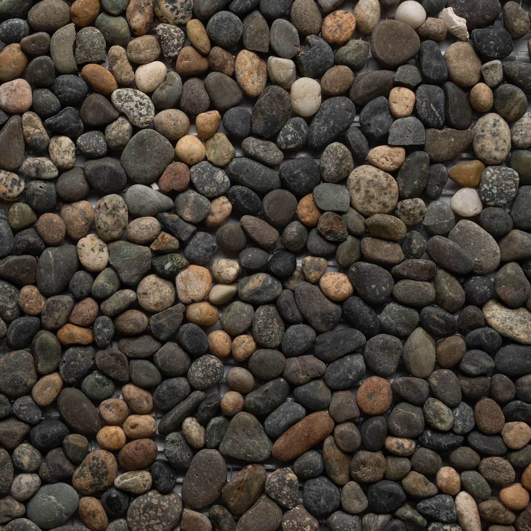 Ebony Mixed Mini Pebble Tile| Mini Pebble Tile | Pebble Tile Shop